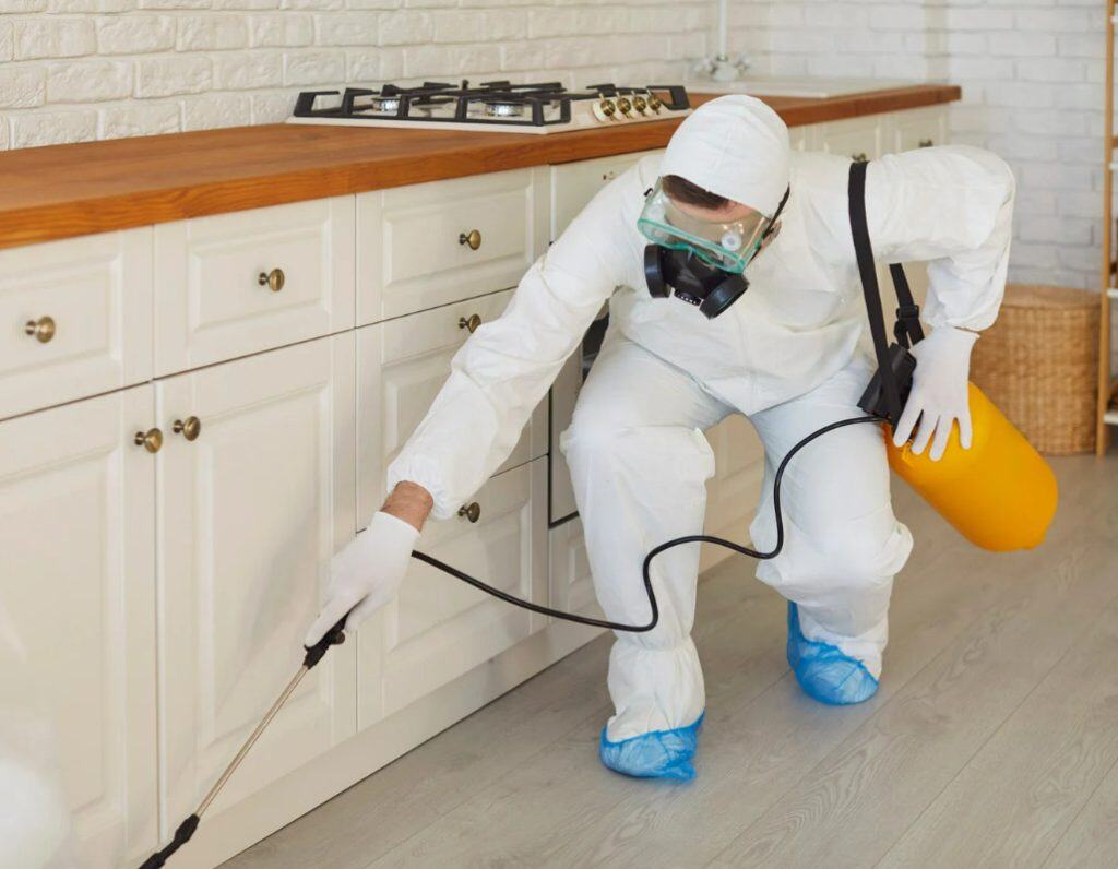 3 Best Pest Control Companies in Kuala Lumpur